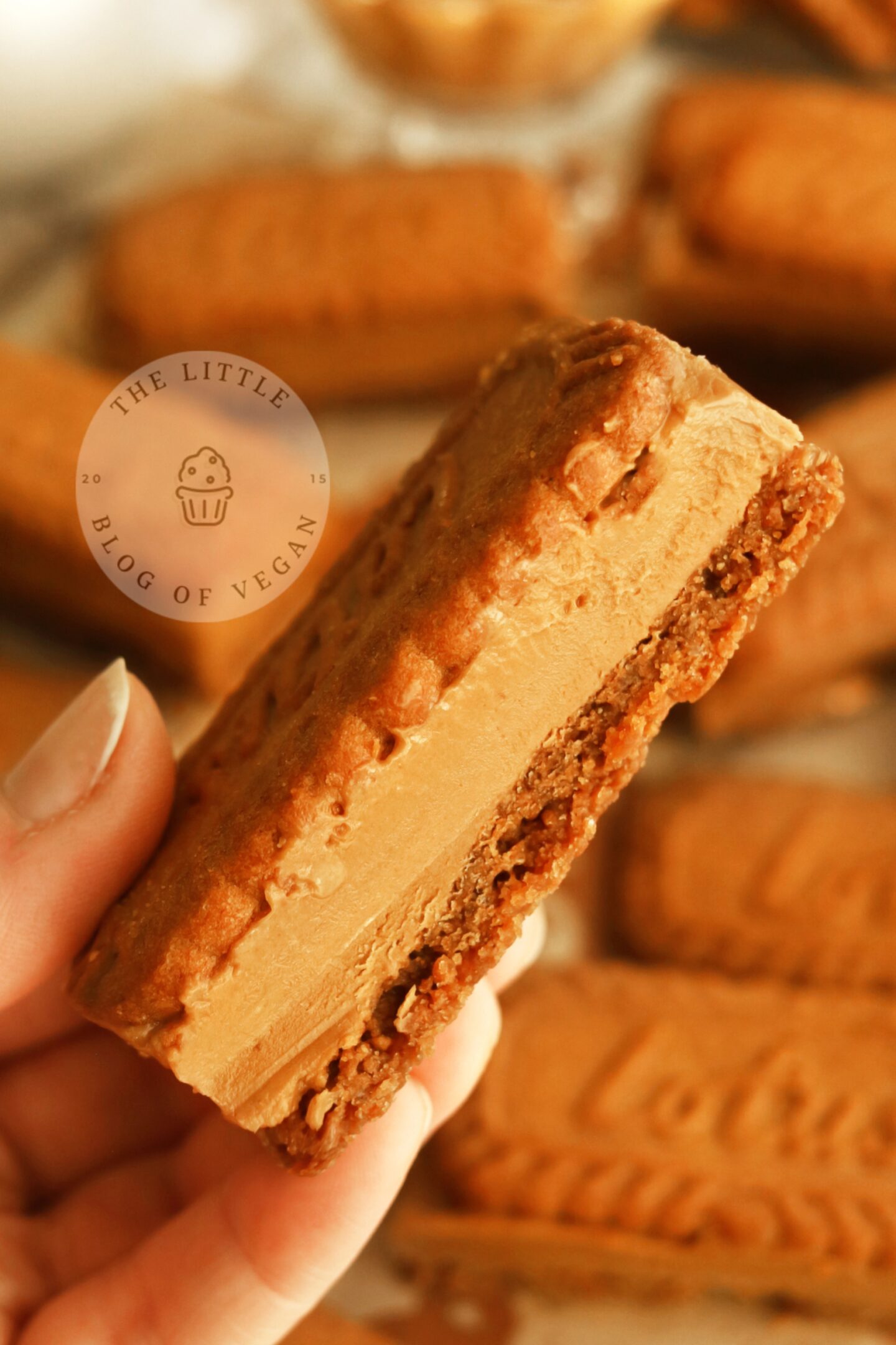 No-Bake Lotus Biscoff Slices - The Little Blog Of Vegan